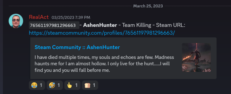 How to properly log ban entries in Discord - R E A L A C T VR Server